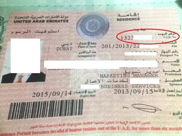 UDB Number in the UAE: A Comprehensive Guide